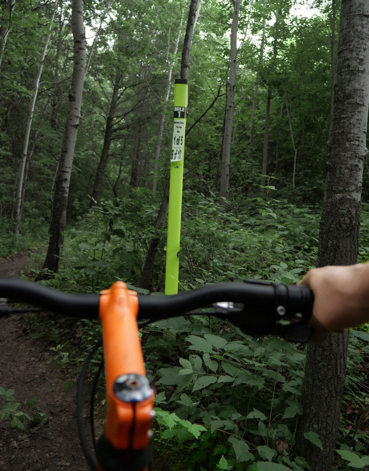 TriView® Marker Post - Trailmarking